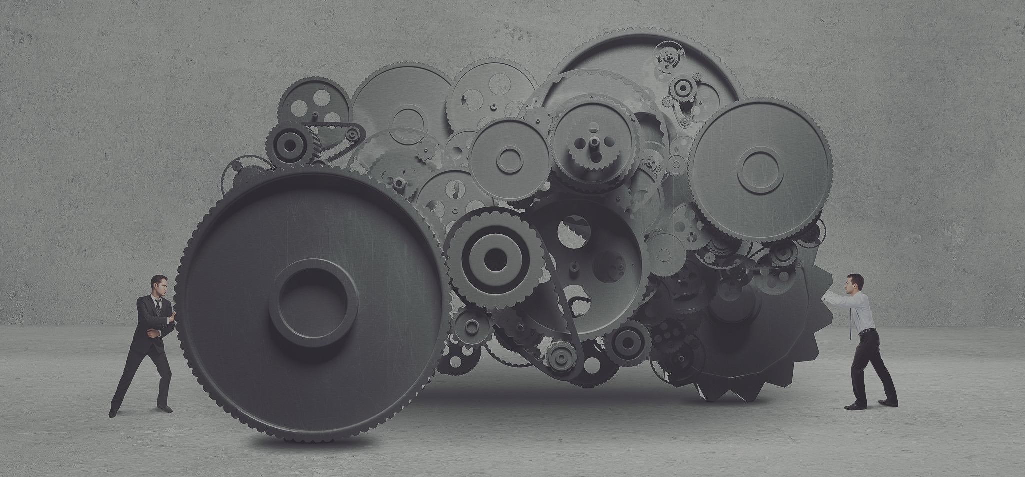 Dynamic Balancing & Vibration Analysis Experts